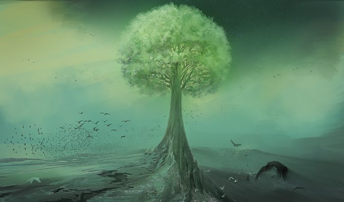 Nebuchadnezzar S Dream Daniel 4