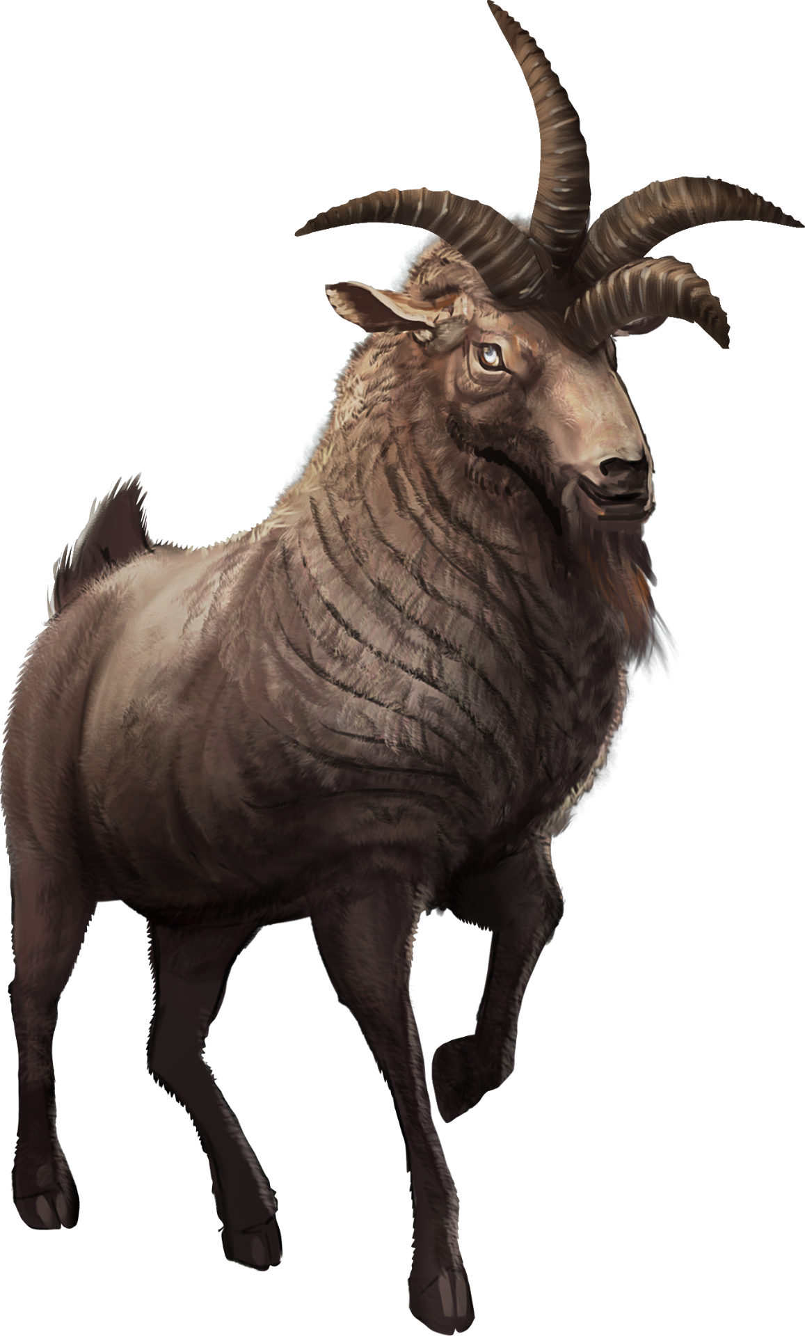 The Ram and Goat of Daniel 8