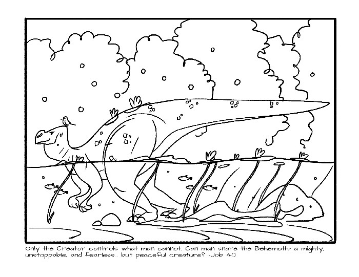 Coloring Book | The Behemoth