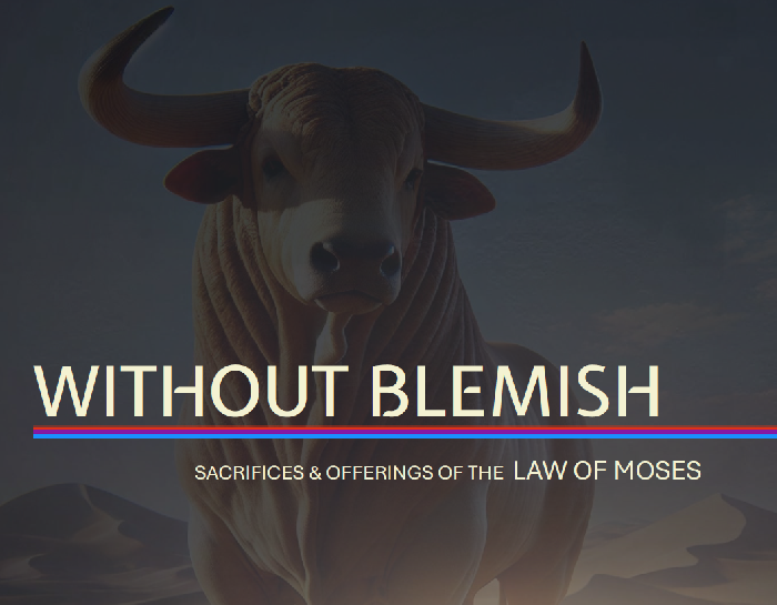 Class | Without Blemish: Sacrifices and Offerings